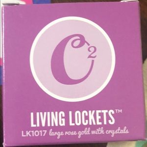 Origami Owl | Jewelry | Origami Owl Large Rose Gold Living Locket ...